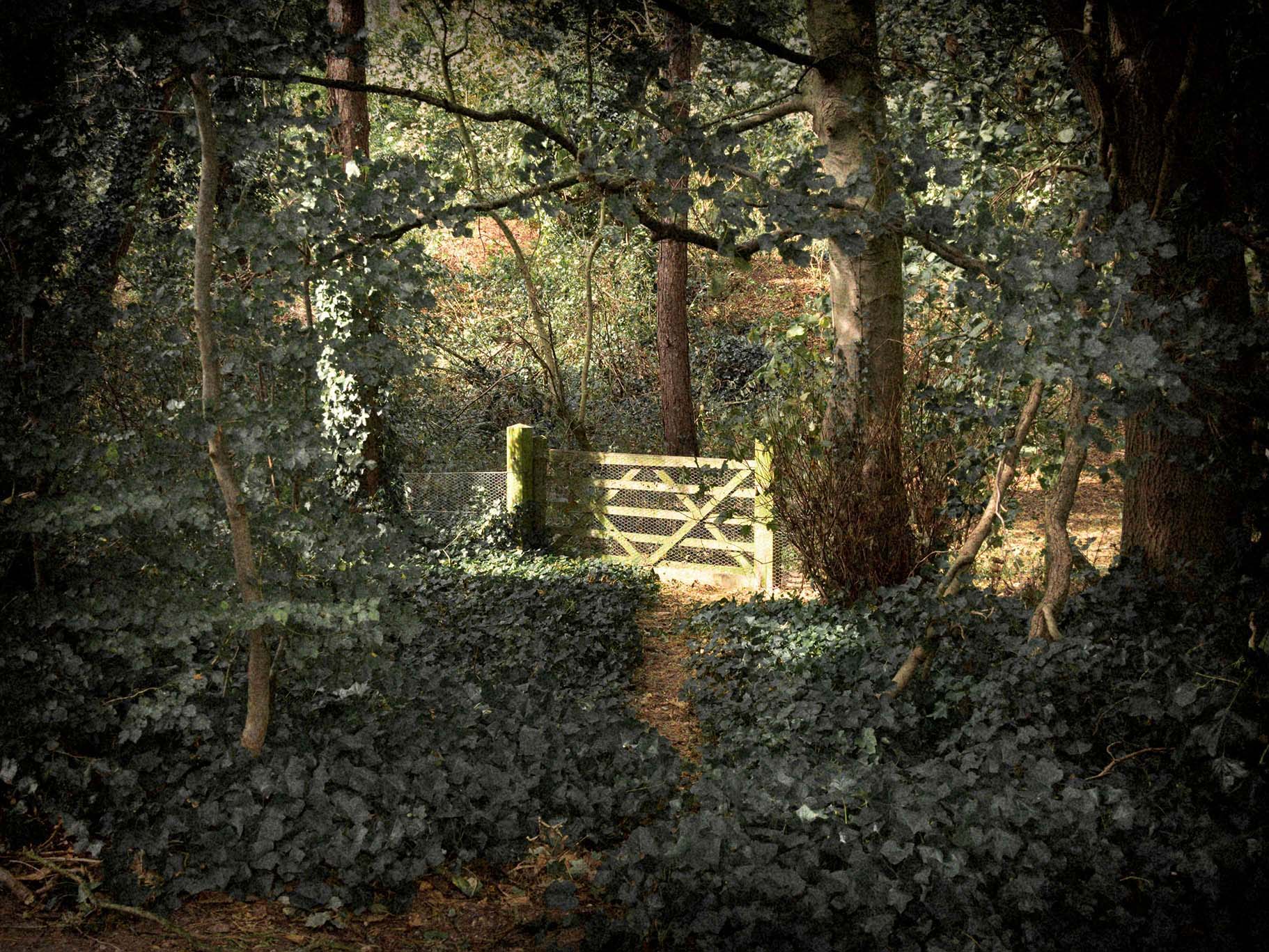 Norfolk Coast Walks & Circular Trails with Maps 2024 - LoveNorfolk