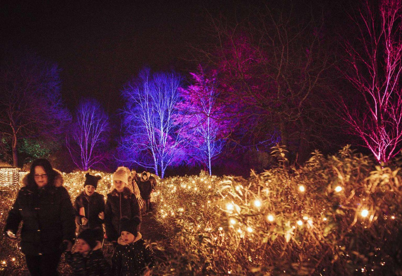 Luminate Sandringham Light Trail 2025 - LoveNorfolk