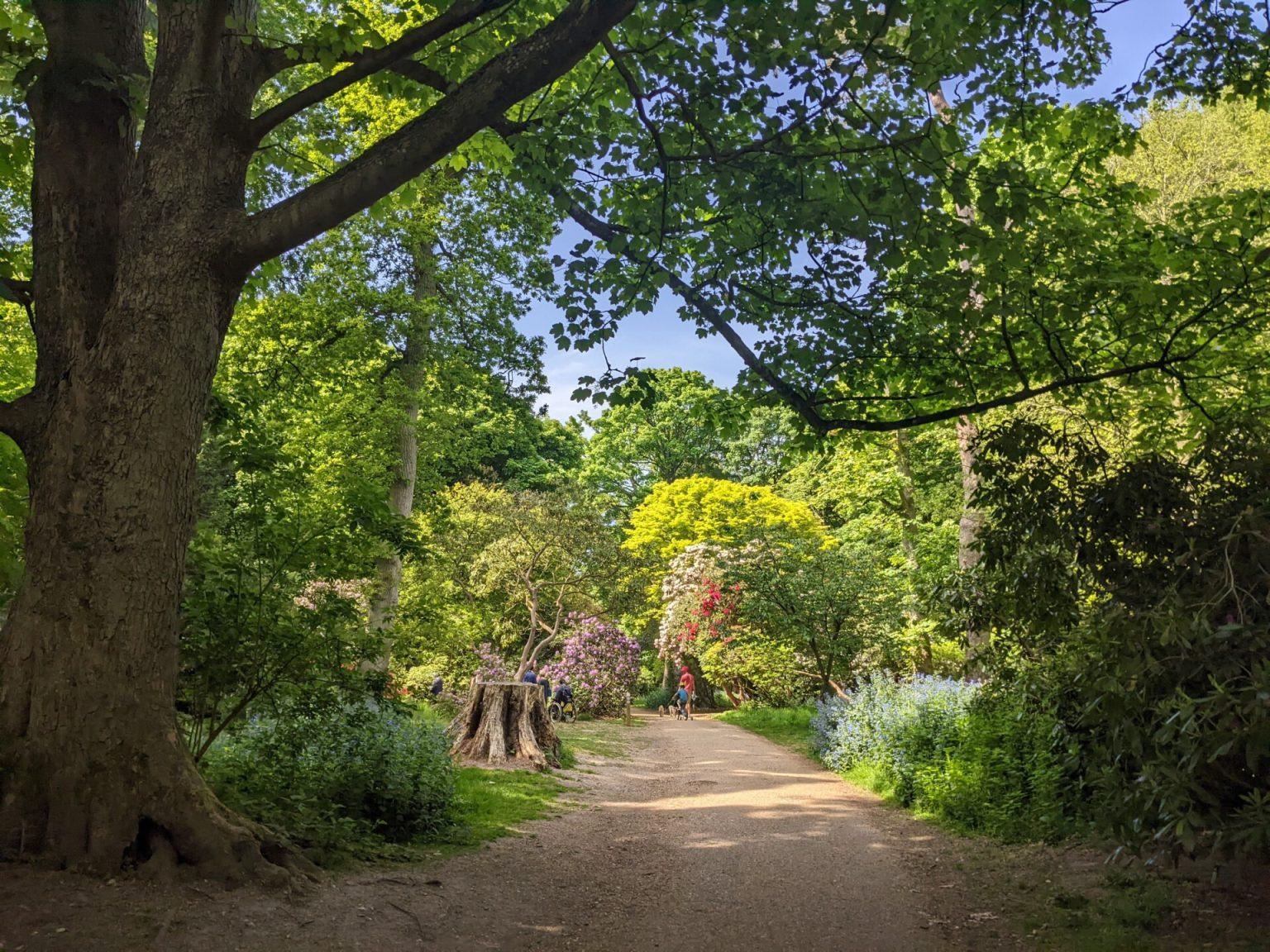 Norfolk Coast Walks & Circular Trails with Maps 2024 - LoveNorfolk